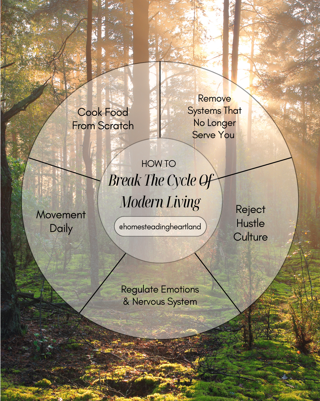 5 Ways to Break The Cycle of Modern Living - Homesteading Heartland